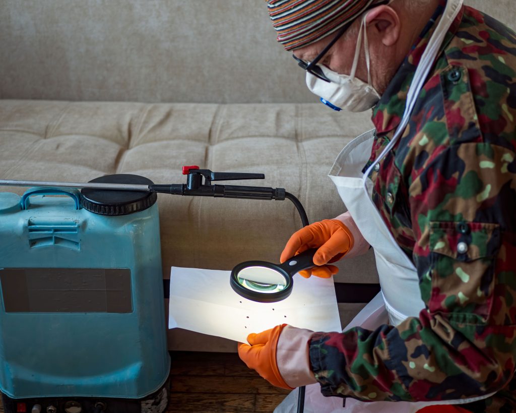 Reliable bed bug exterminators in Orlando, FL